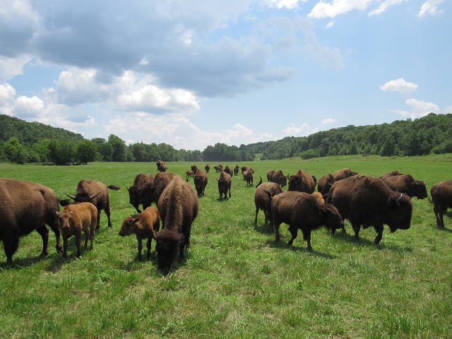 LBL Reservation System - Land Between the Lakes Recreation Area