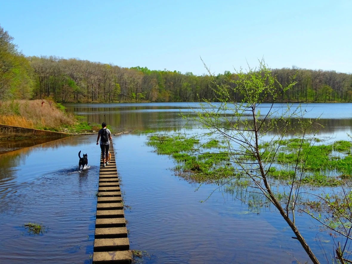 LBL Reservation System